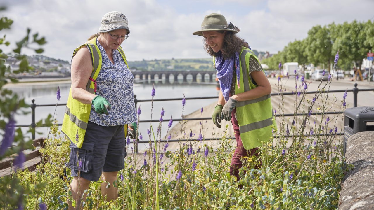 Planting more Postcode Gardeners | Friends of the Earth